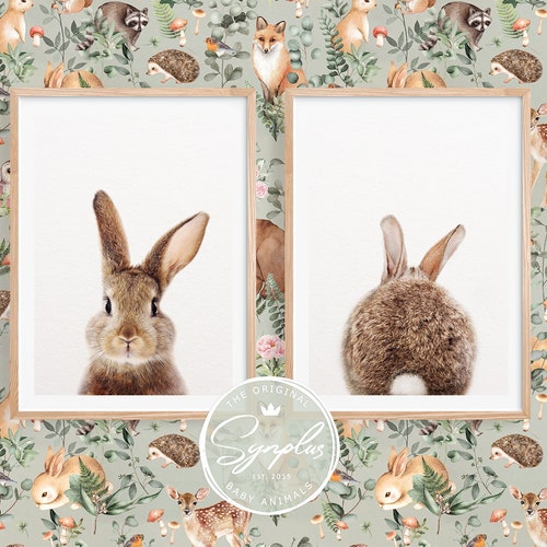 Rabbit Print Nursery Decor Rabbit Tail Baby Room Art Decor - Etsy