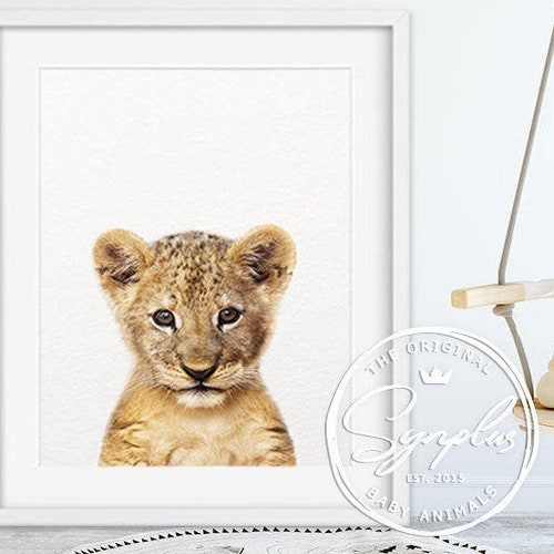 Lion Print Lion Cub Art Baby Animals Print Safari Animal - Etsy