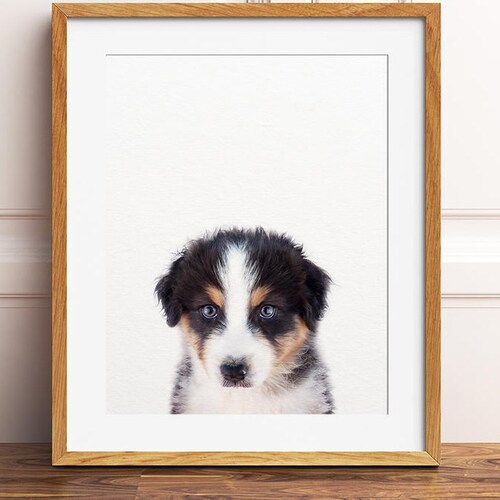 Dog Print Baby Animal Prints Puppy Print Nursery Art | Etsy
