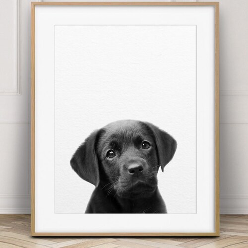 Puppy Lab Print Baby Animals Dog Print Nursery Decor Black - Etsy