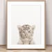Tiger Print, Baby Animal Prints, Nursery Decor, Baby Animals, White ...