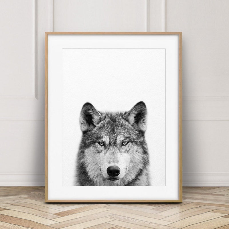 Gray Wolf Art - Etsy