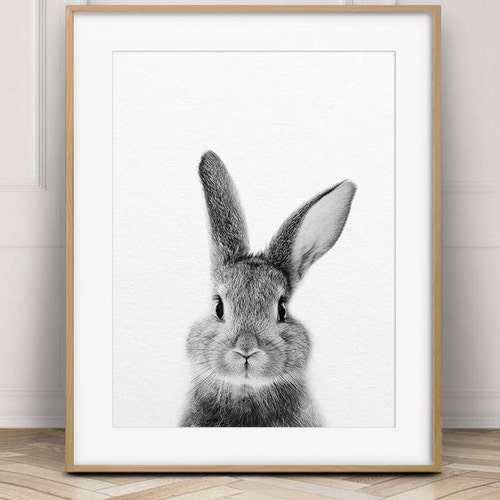 Rabbit Print Bunny Rabbit Art Black & White Animal Prints - Etsy