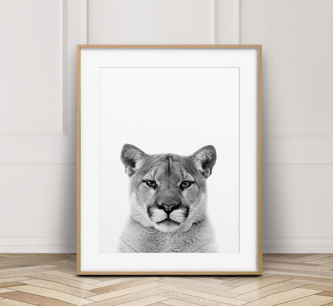 Puma Print, Cougar Photo, Mountain Lion Print, Forest Animal Wall Art ...