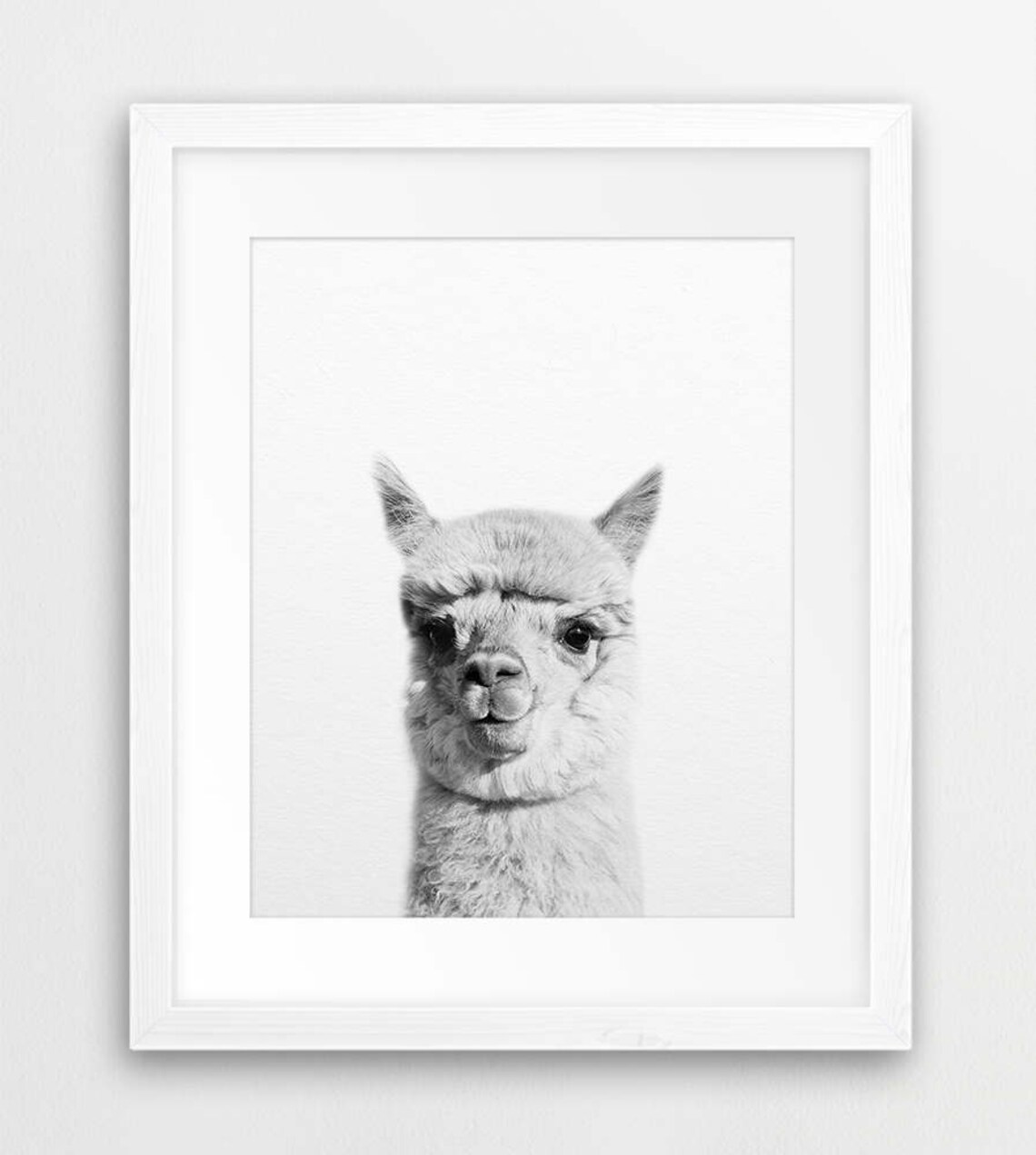 Alpaca Print Alpaca Wall Art Llama Print Baby Alpaca Black | Etsy