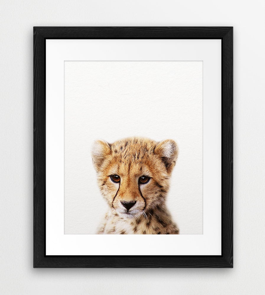 Cheetah Print Nursery Art Baby Animal Prints Nursery Wall - Etsy