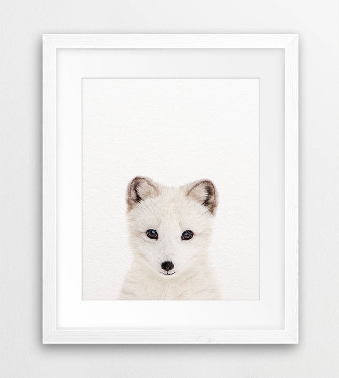 Fox Print, Arctic Fox Cub Art, White Animal Photo, Baby Animal Prints ...