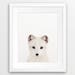 Fox Print Arctic Fox Cub Art White Animal Photo Baby Animal - Etsy
