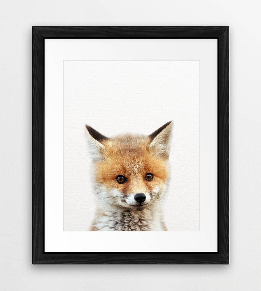 Fox Print Fox Cub Wall Art Pup Fox Photo Nursery Decor | Etsy