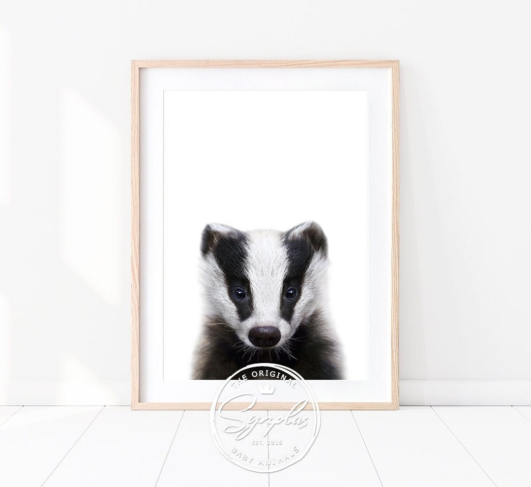 Baby Badger Wall Art Print, Woodland Nursery Decor, Kids Room Animal ...