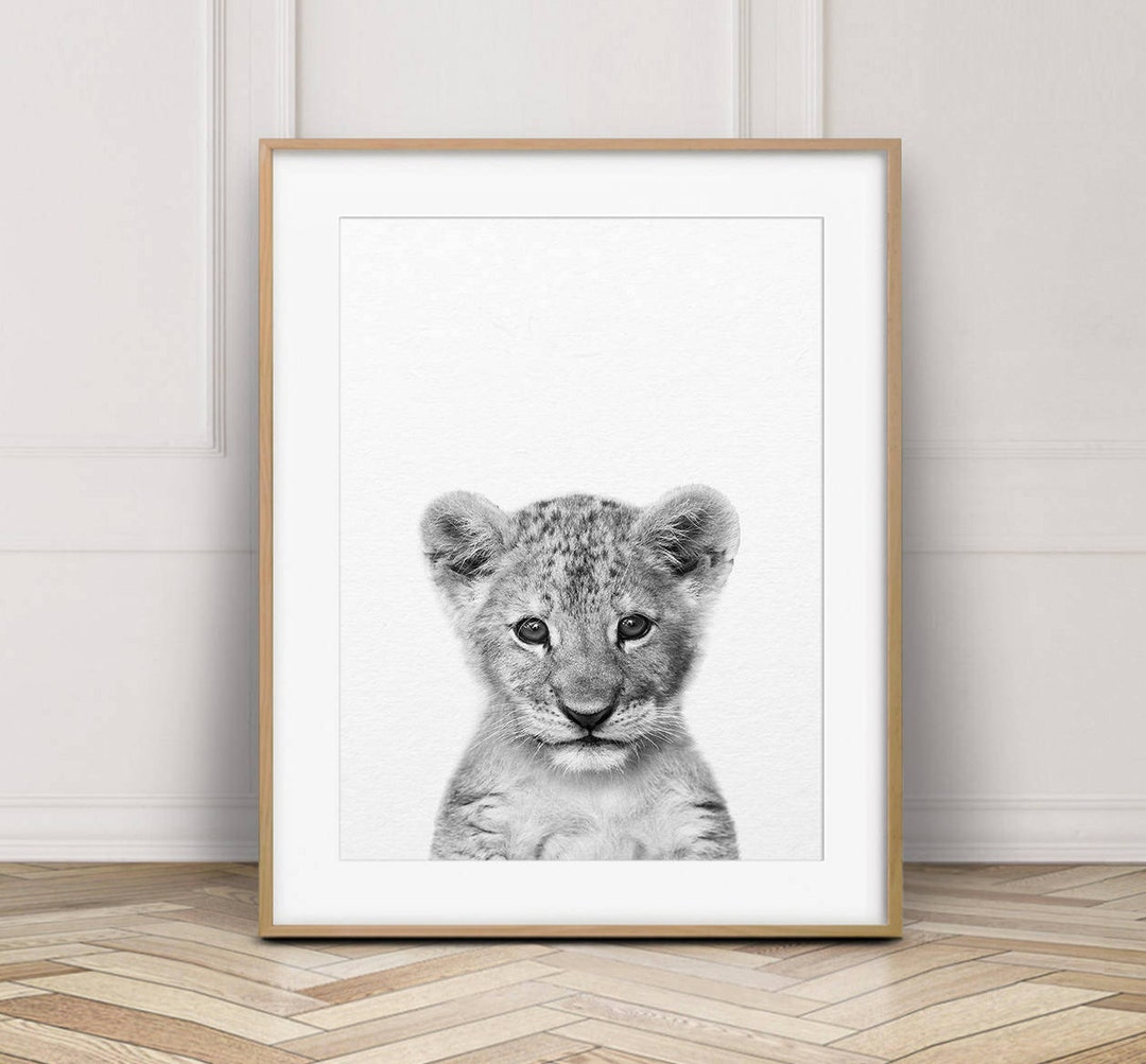 Baby Lion Print, Nursery Decor, Safari African Animals, Lion Cub Art ...