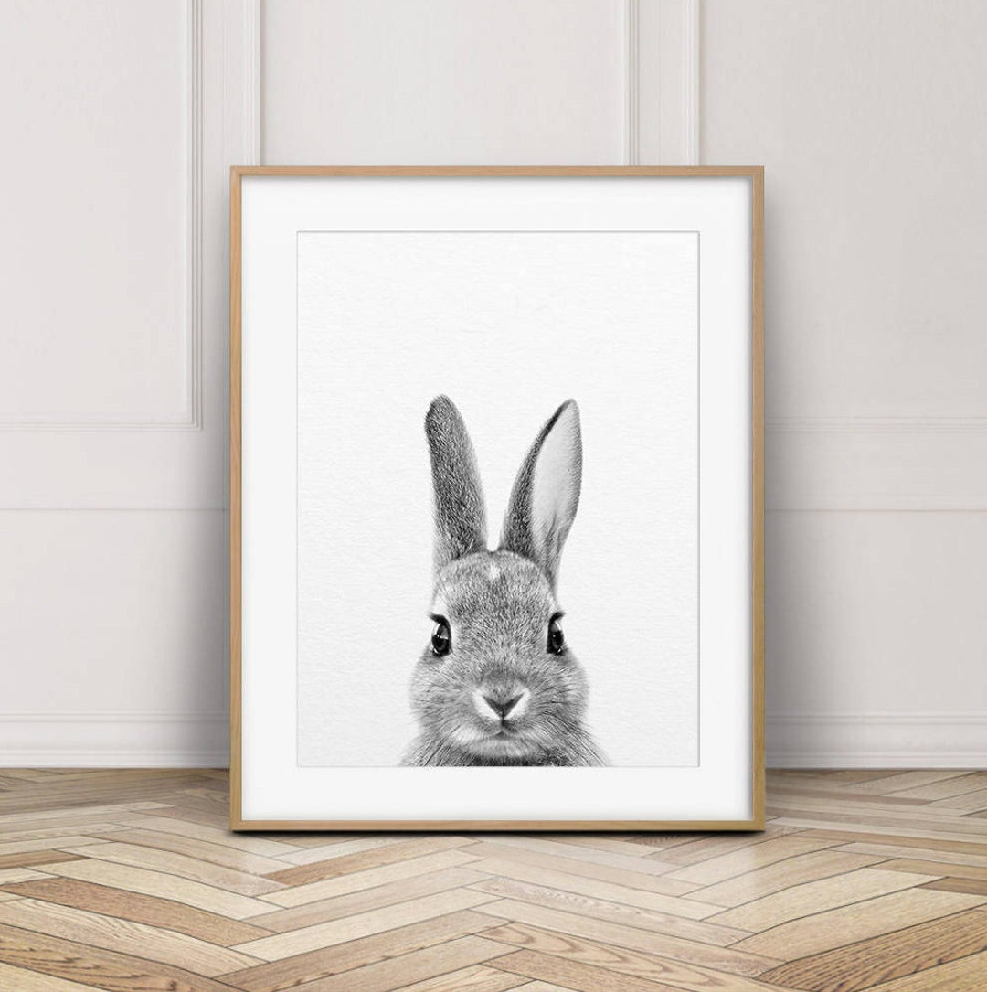 Rabbit Print, Bunny Art Print, Black & White Animal, Cute Baby Animals ...