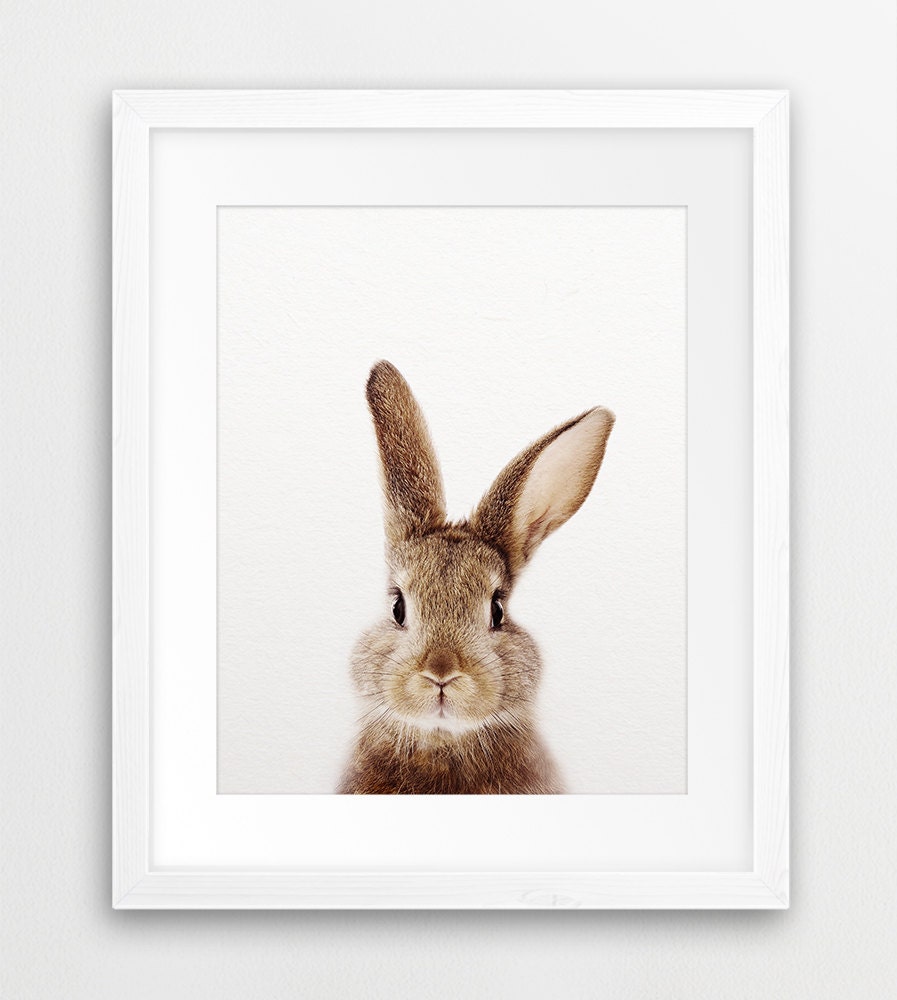Rabbit Print Woodland Nursery Decor Rabbit Art Bunny - Etsy Canada