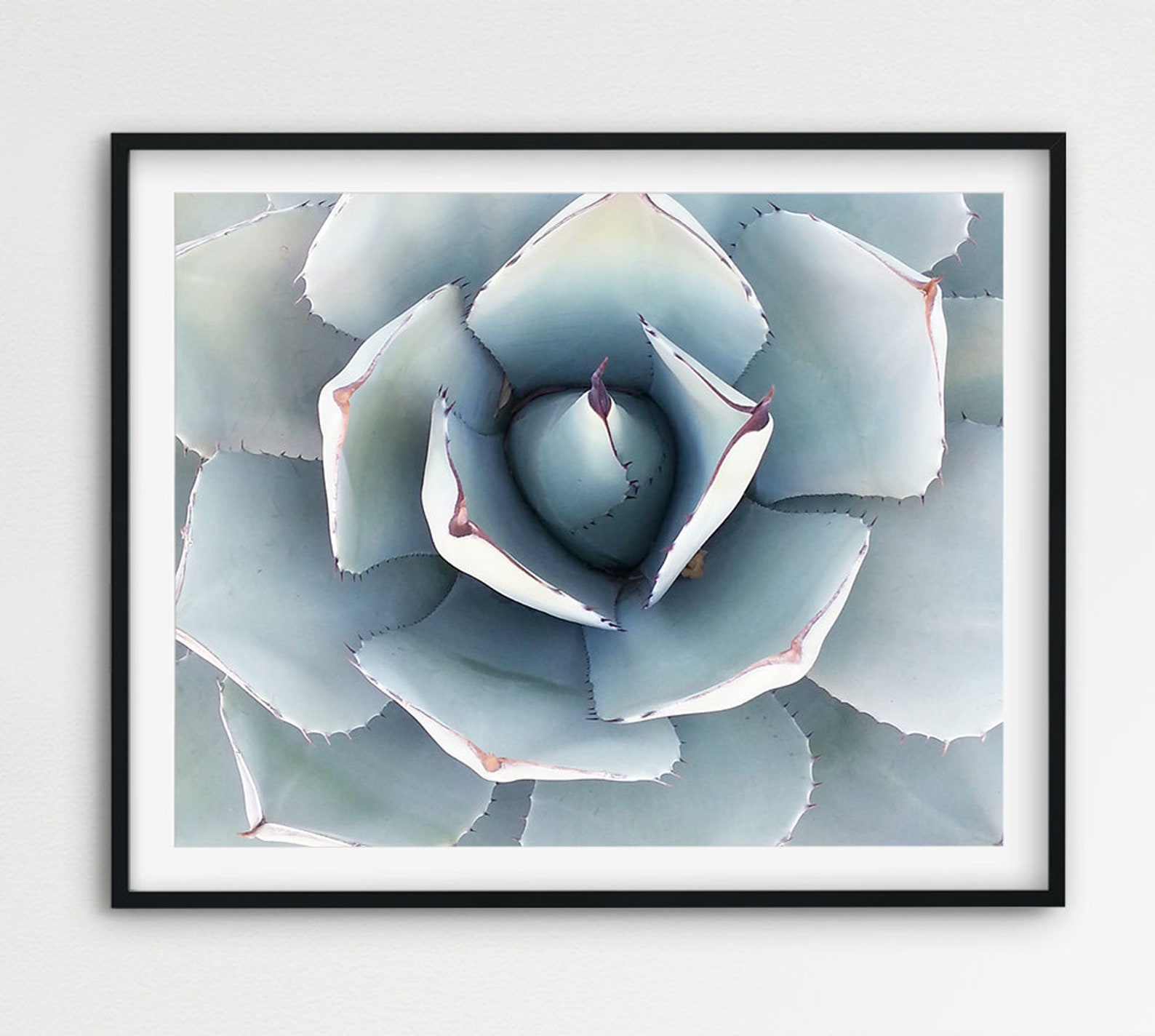 Succulent Print Set of 3 Succulent Prints Agave Succulent - Etsy