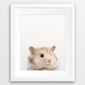 Hamster Print, Nursery Wall Art, Nursery Animal Prints, Kids Pet ...