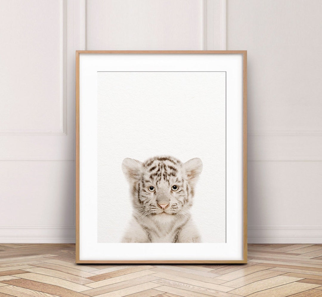Tiger Print, Baby Animal Prints, Nursery Decor, Baby Animals, White ...