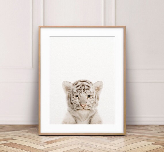 Tiger Print Baby Animal Prints Nursery Decor Baby Animals | Etsy Canada
