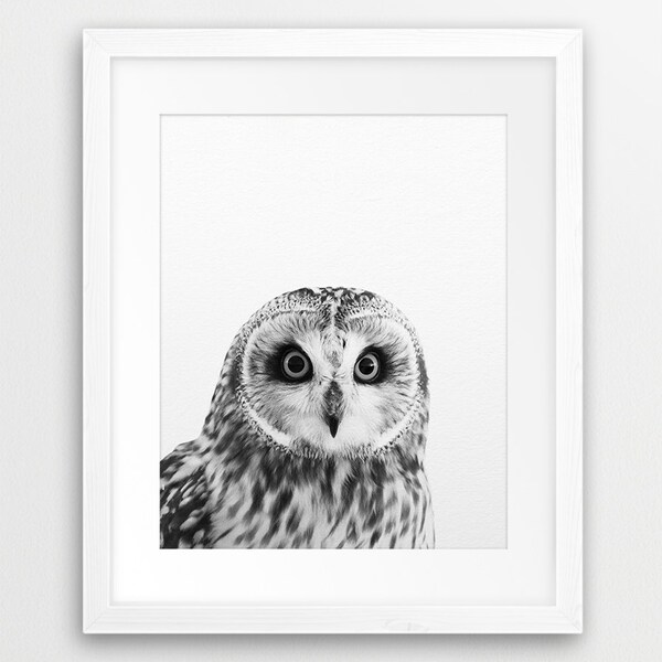 Modern Owl Art - Etsy
