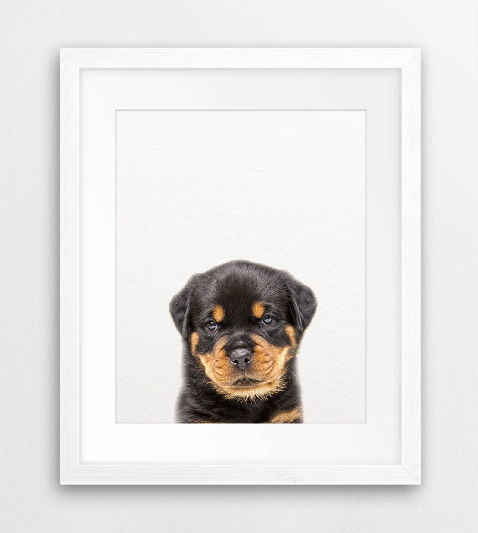 Dog Print, Baby Animal Prints, Puppy Print, Nursery Art, Rottweiler ...