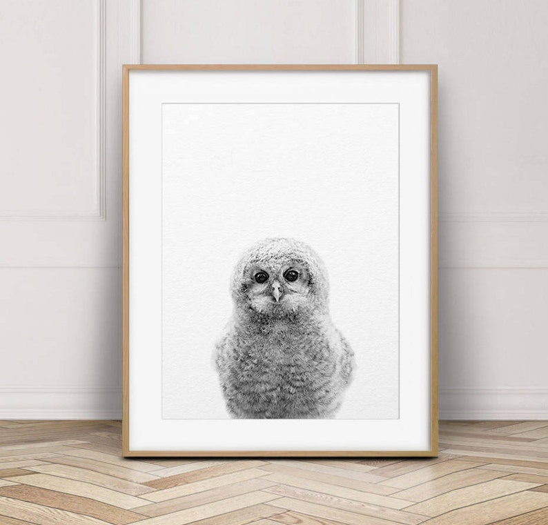 Baby Owl Print Nursery Wall Art Nursery Art Woodland | Etsy