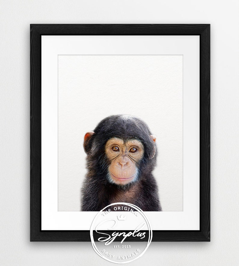 Baby Monkey Print Nursery Decor African Safari Animal Baby | Etsy