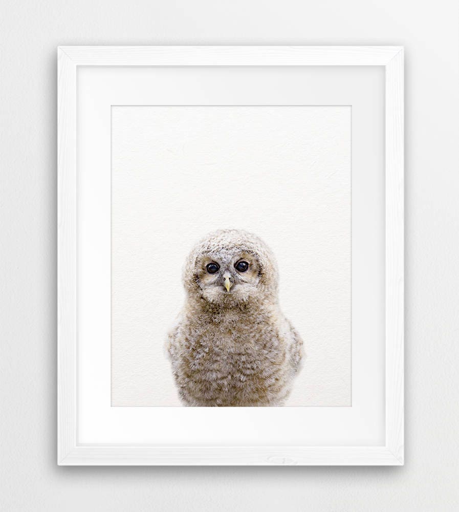 Baby Owl Print Nursery Wall Art Baby Owl Art Nursery Art | Etsy