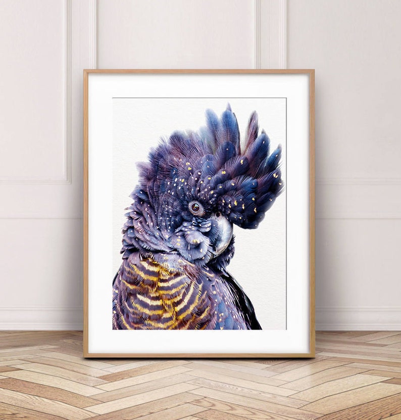 Black Cockatoo Print Parrot Wall Art Australian Bird Red Etsy