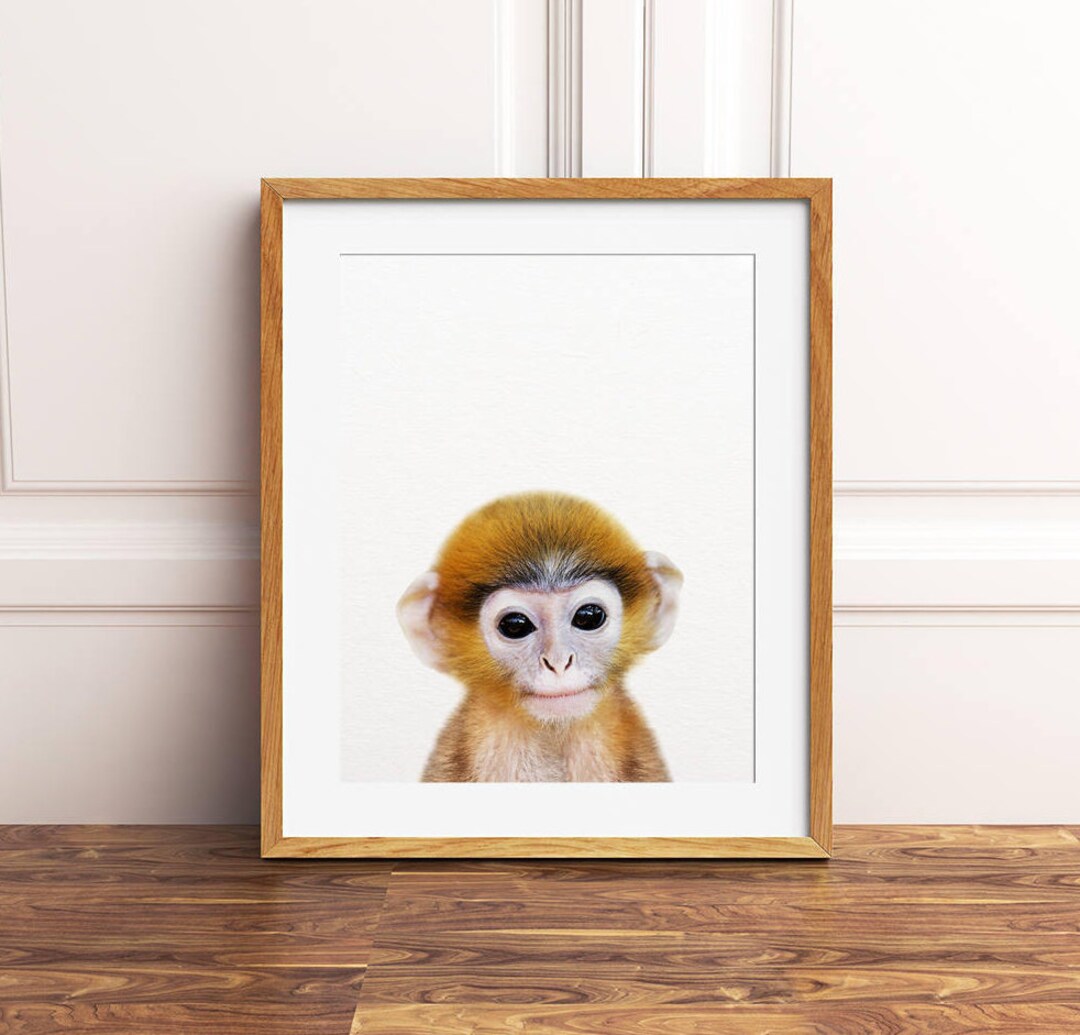 Baby Monkey Print, Jungle Animal Color Photo, Nursery Animal Wall Art ...