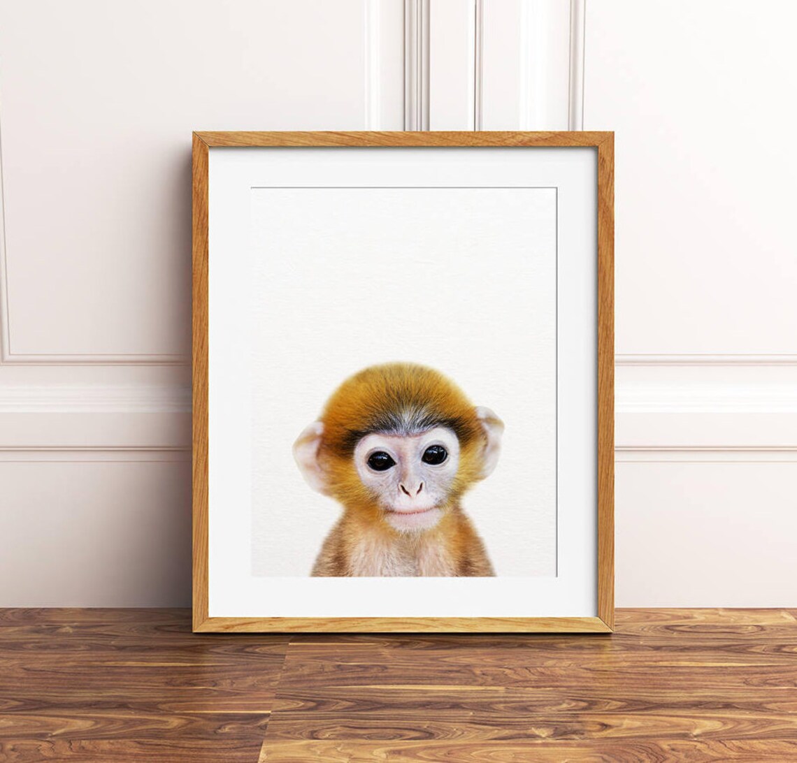 Baby Monkey Print Jungle Animal Color Photo Nursery Animal - Etsy