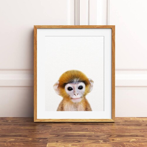 Baby Monkey Print Baby Monkey Wall Art Baby Animal Prints - Etsy