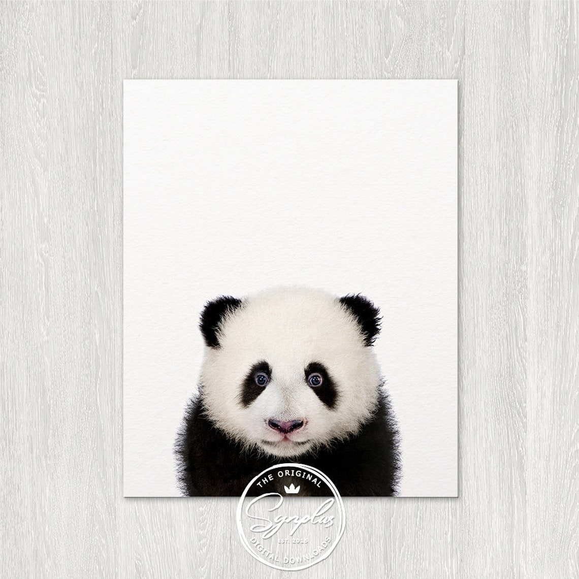 Baby Panda Bear Print, Nursery Wall Art, Baby Animals, Cute Panda Art ...