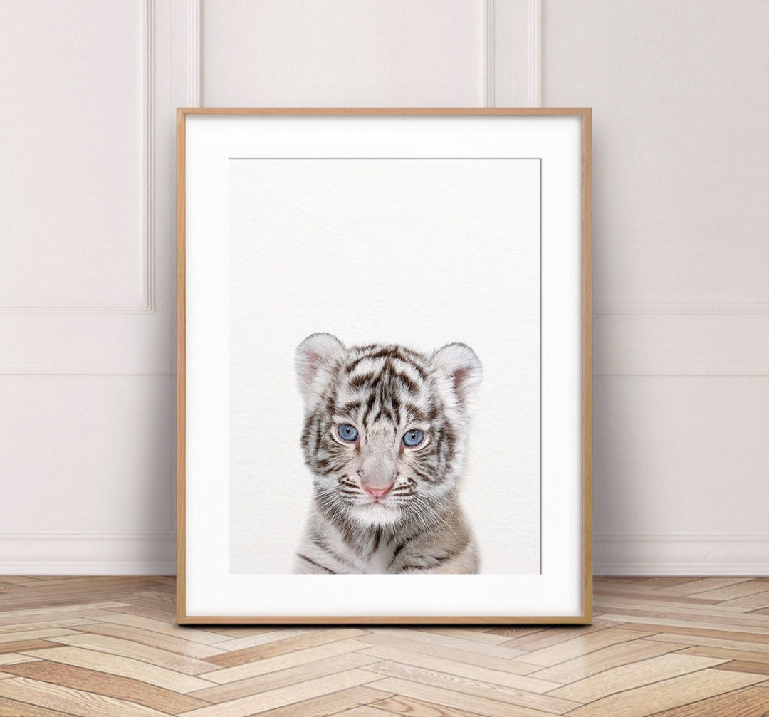 Tiger Print, White Tiger Cub Art, Baby Animal Prints, Woodland Nursery ...