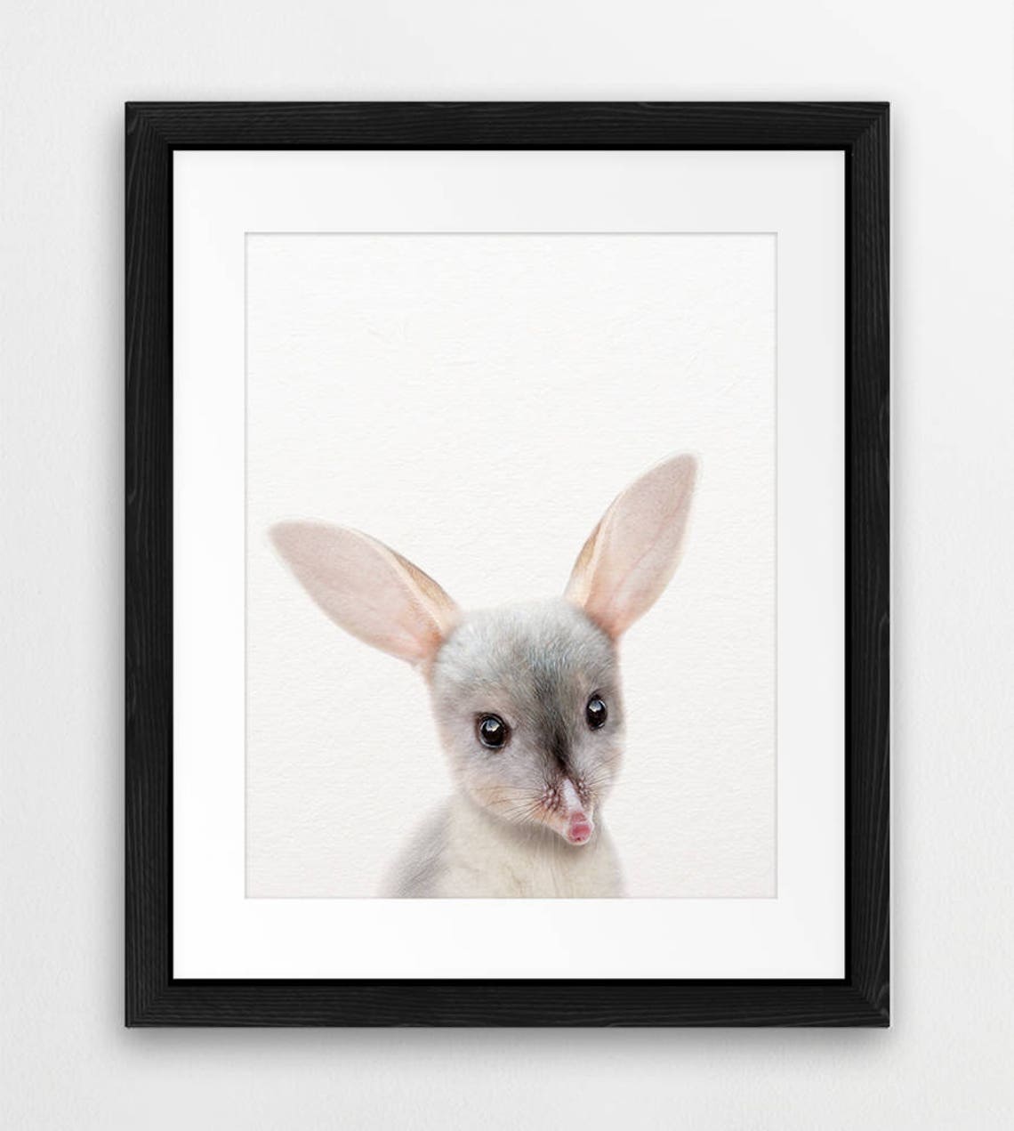 Baby Bilby Print, Nursery Decor, Australian Animals Art, Bilby Art ...