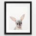Baby Bilby Print, Nursery Decor, Australian Animals Art, Bilby Art ...