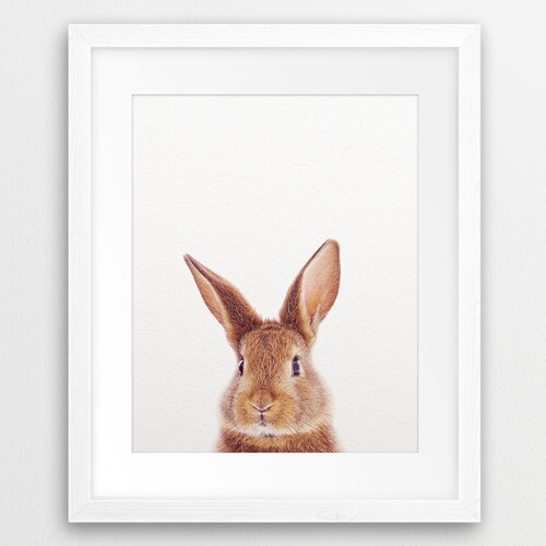 Rabbit Print Woodland Nursery Decor Rabbit Photo Bunny - Etsy