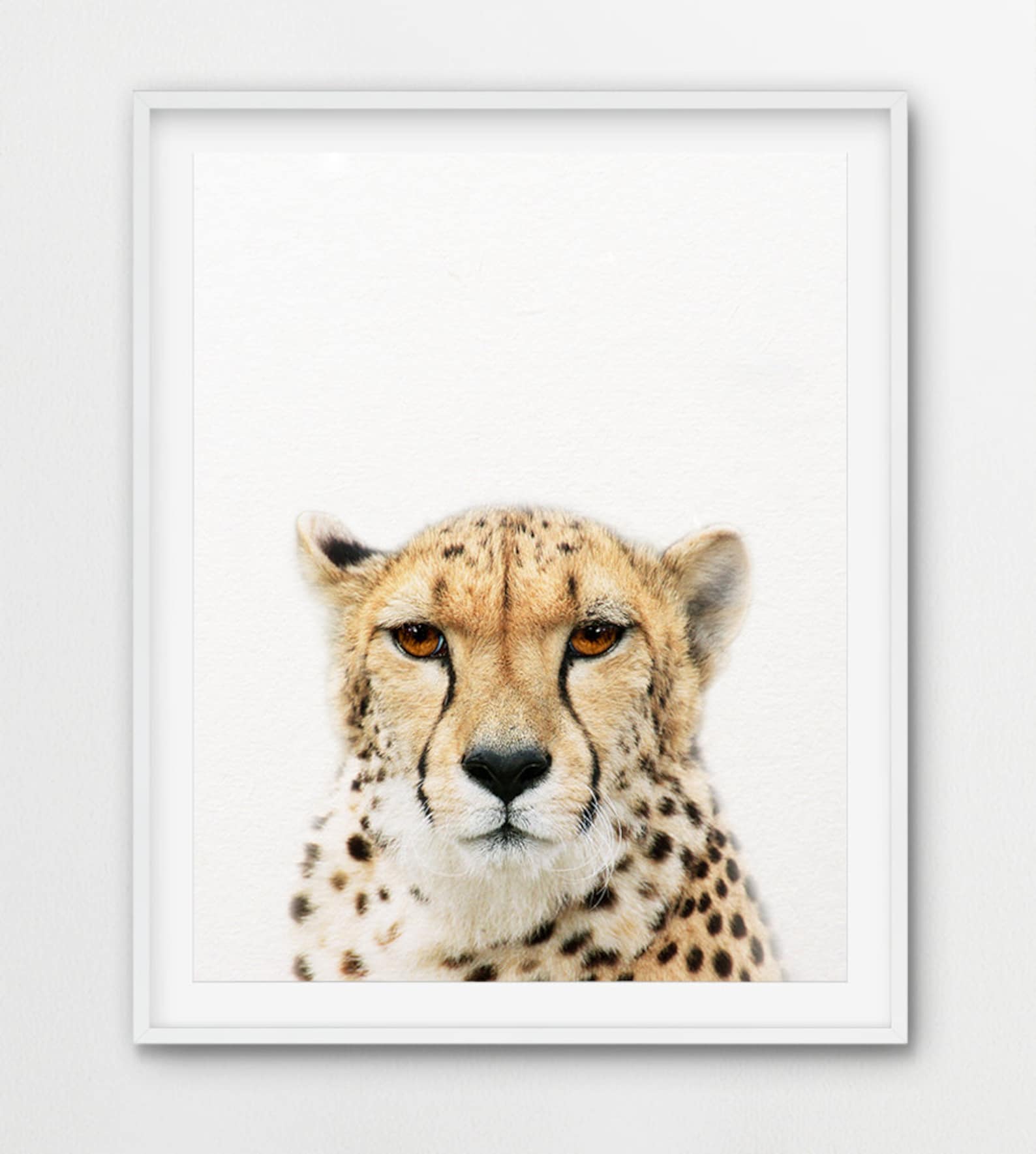 Cheetah Print, Cheetah Wall Art, Cheetah Photo, Safari African Animal ...