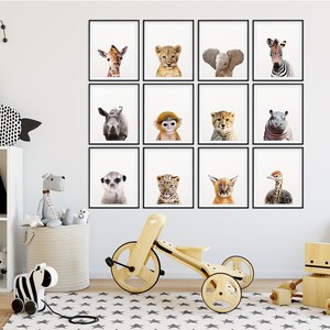 Safari Nursery Decor, Baby Animals Set 8, Lion Zebra Elephant Giraffe ...