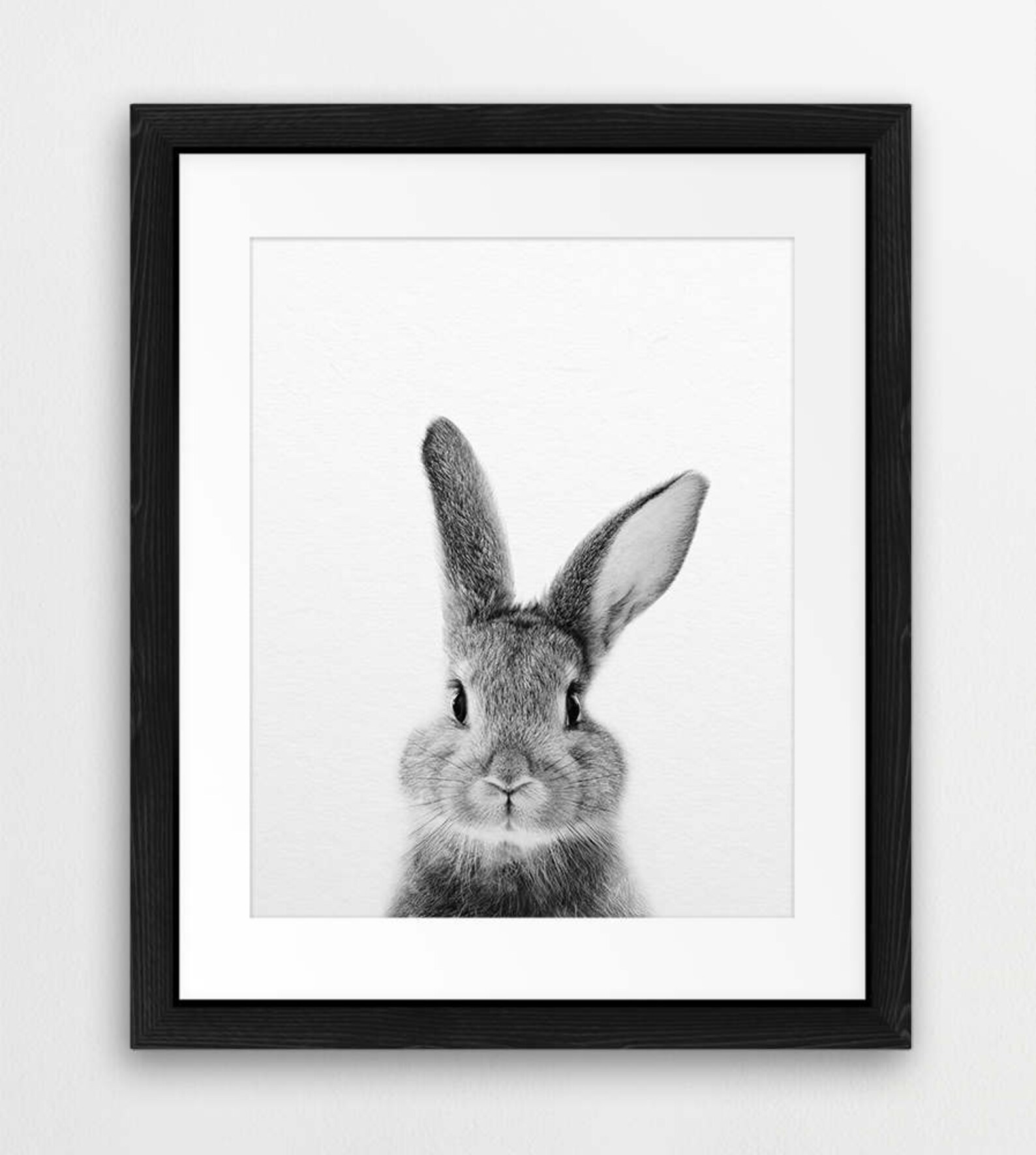 Rabbit Print Bunny Rabbit Art Black & White Animal Prints - Etsy