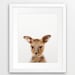 Australian Animals Print Baby Animals Set 4 Nursery Decor - Etsy