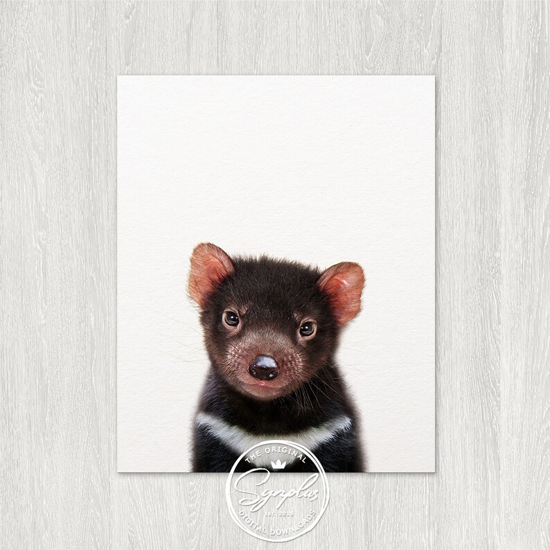 Tasmanian Devil Print Nursery Wall Art Australian Animals - Etsy