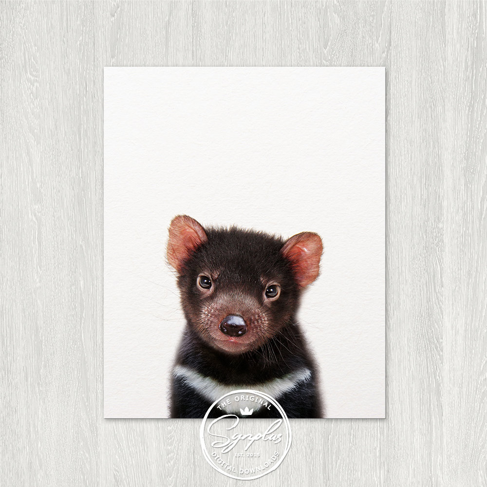 Tasmanian Devil Print, Nursery Wall Art, Australian Animals, Baby ...