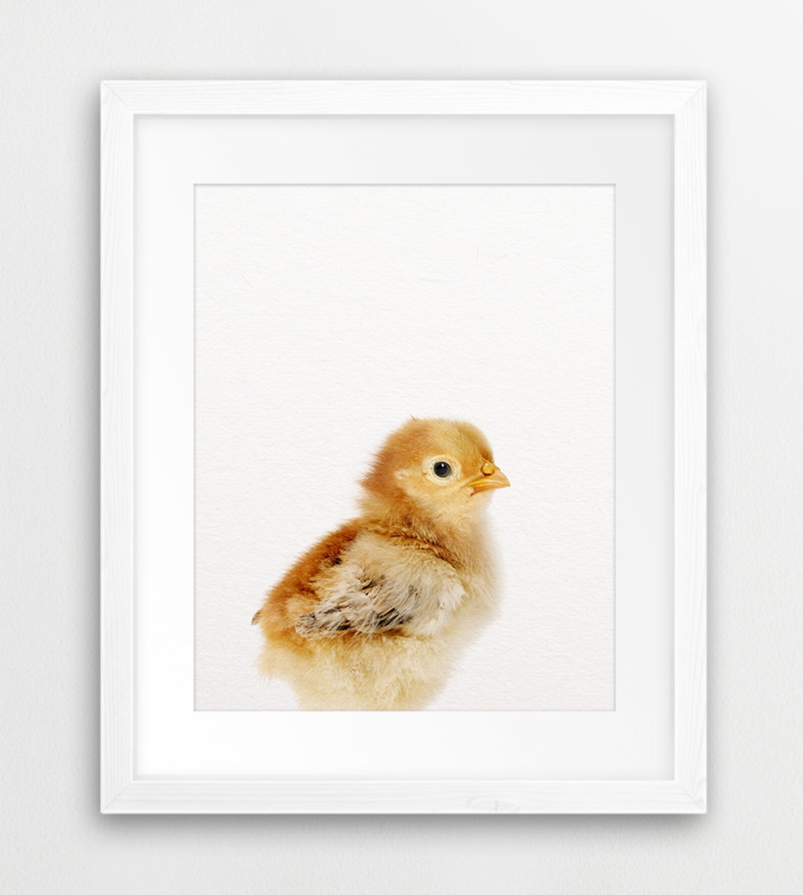 Chick Print, Nursery Wall Art, Cute Baby Animal Prints, Farm Animal ...