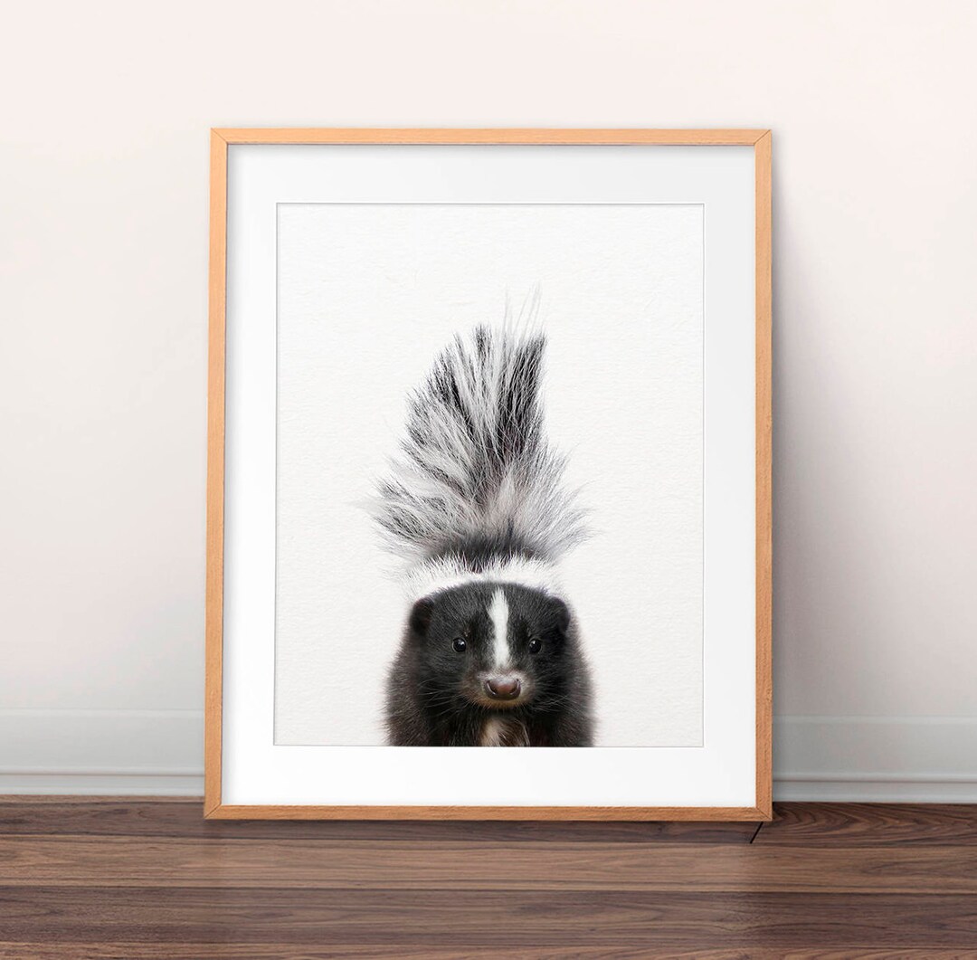 Skunk Print, Baby Skunk Art, Cute Baby Animal Prints, Woodland Animals ...