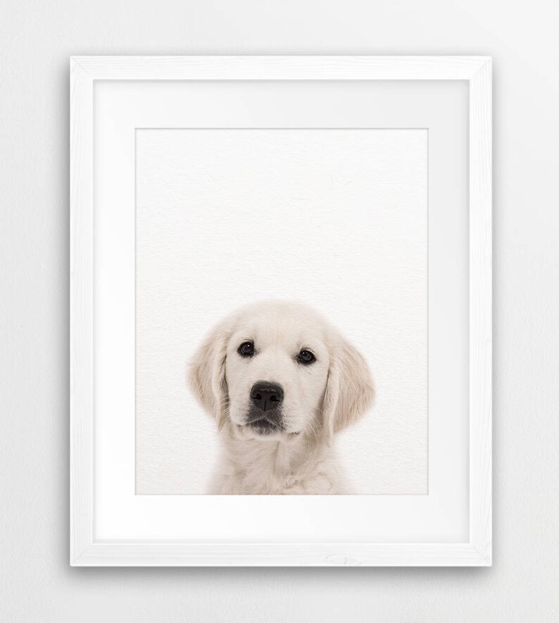 Dog Print, Baby Animal Art, Puppy Print, Nursery Art, Golden Retriever ...