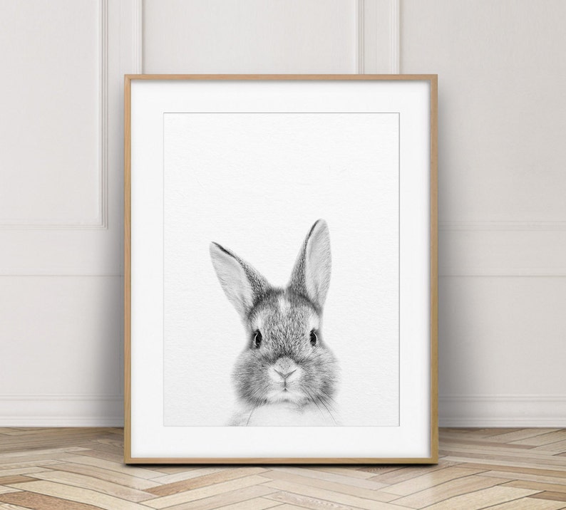 Rabbit Print, Bunny Rabbit Art, Black & White Baby Animals, Nursery ...
