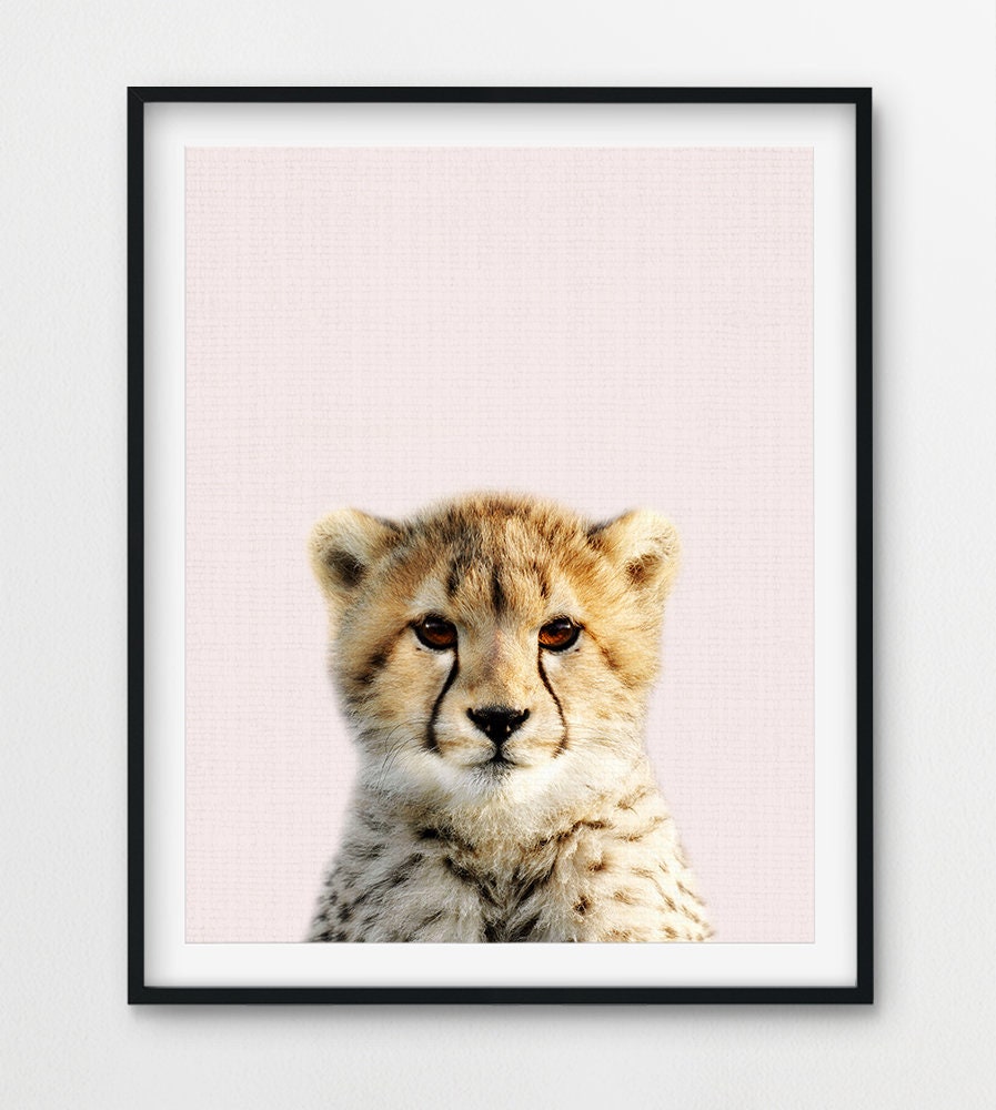 Cheetah Print, Nursery Decor, Baby Animals, Safari Animal Prints, Baby ...