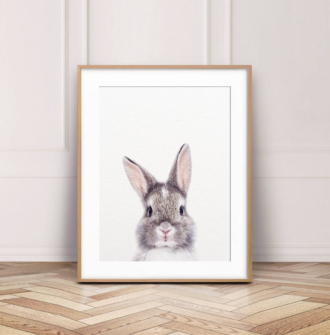 Nursery Wall Art, Nursery Decor, Rabbit Print, Bunny Photo, Little ...