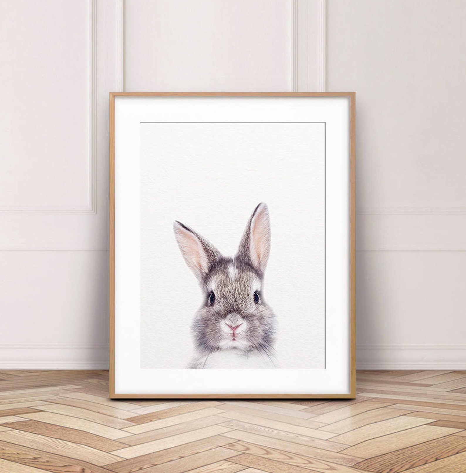 Nursery Wall Art Nursery Decor Rabbit Print Bunny Photo | Etsy