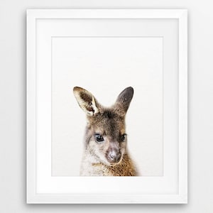 Baby Wallaby Print, Cute Wallaby Art, Nursery Wall Art, Australian ...