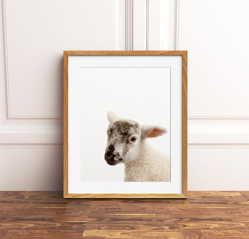 Lamb Print Nursery Art Cute Baby Lamb Wall Art Farm Animal - Etsy